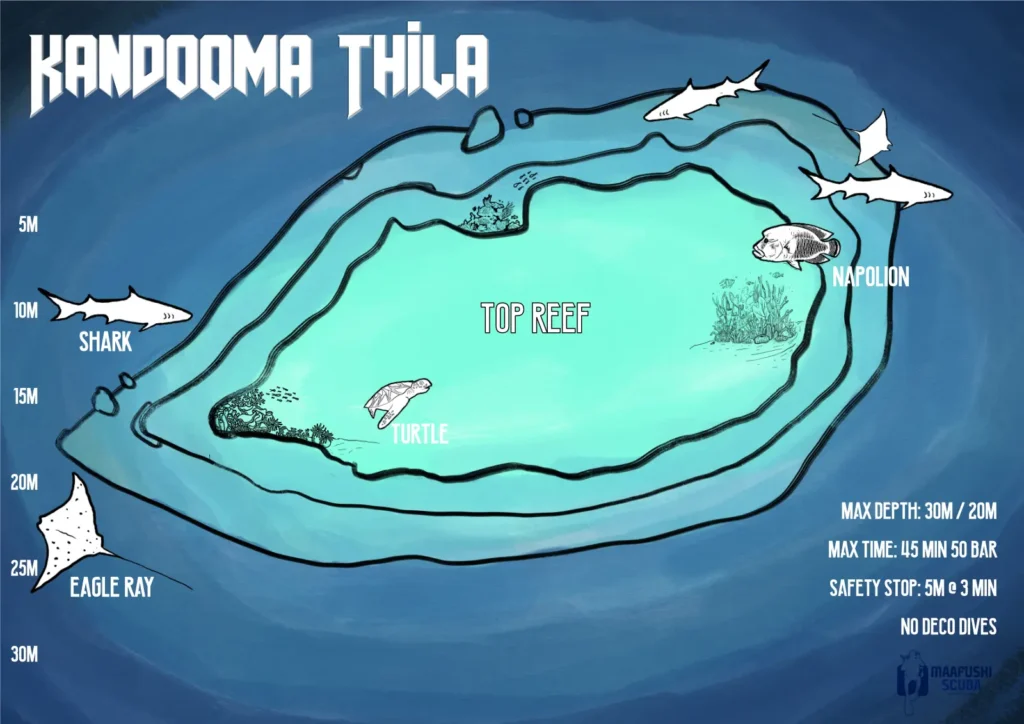 Kandooma Thila – Maafushi Scuba & Freediving
