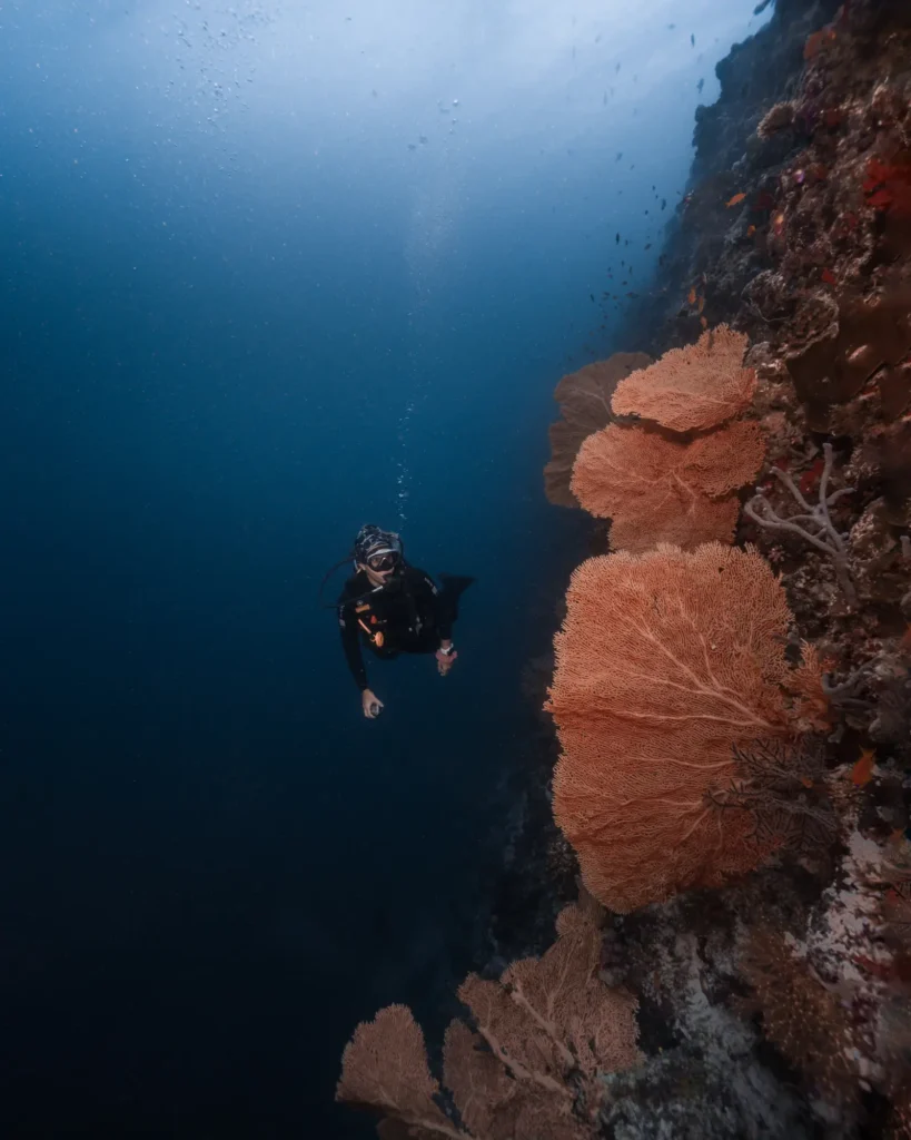 Rescue Diver – Maafushi Scuba & Freediving