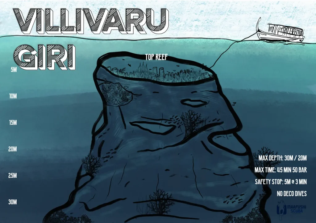 Villivaru Giri – Maafushi Scuba & Freediving